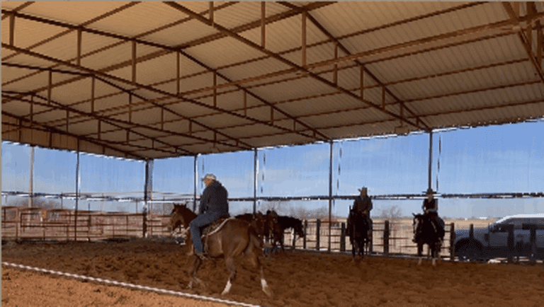Bill Riddle Cutting Horses