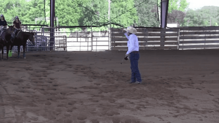 Bill Riddle Cutting Horses