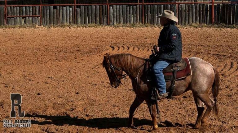 Bill Riddle Cutting Horses