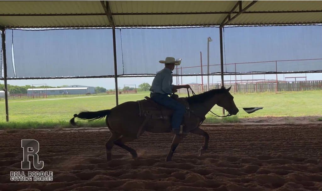 Bill Riddle Cutting Horses