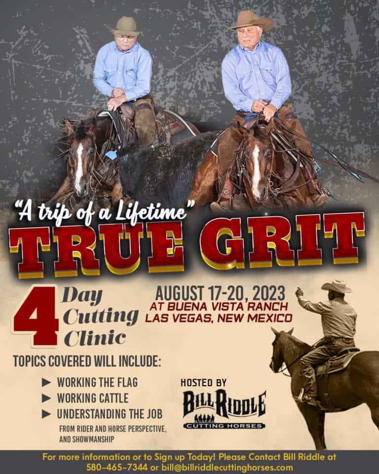 Cutting Clinics - Bill Riddle Cutting Horses